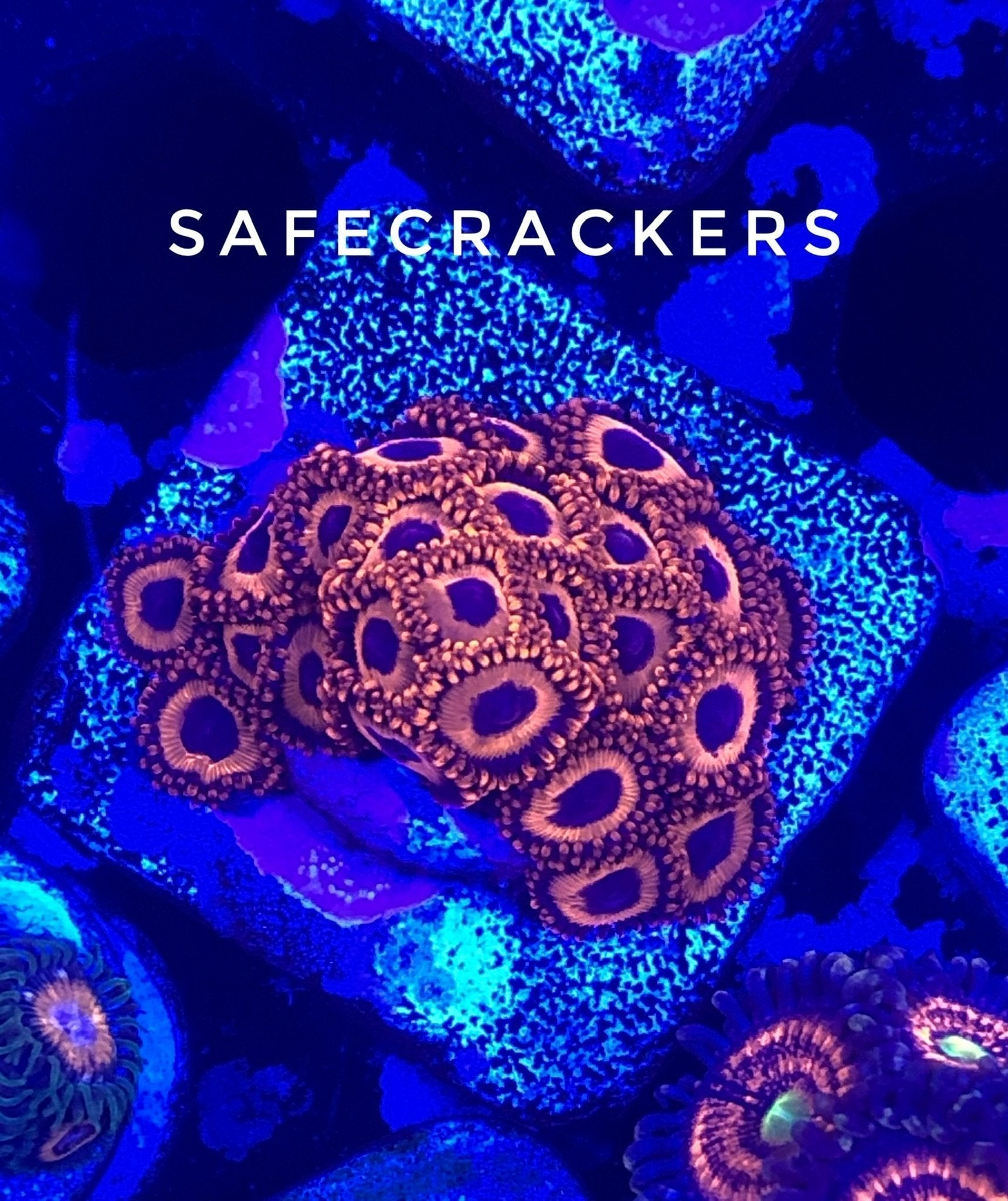 Safecracker