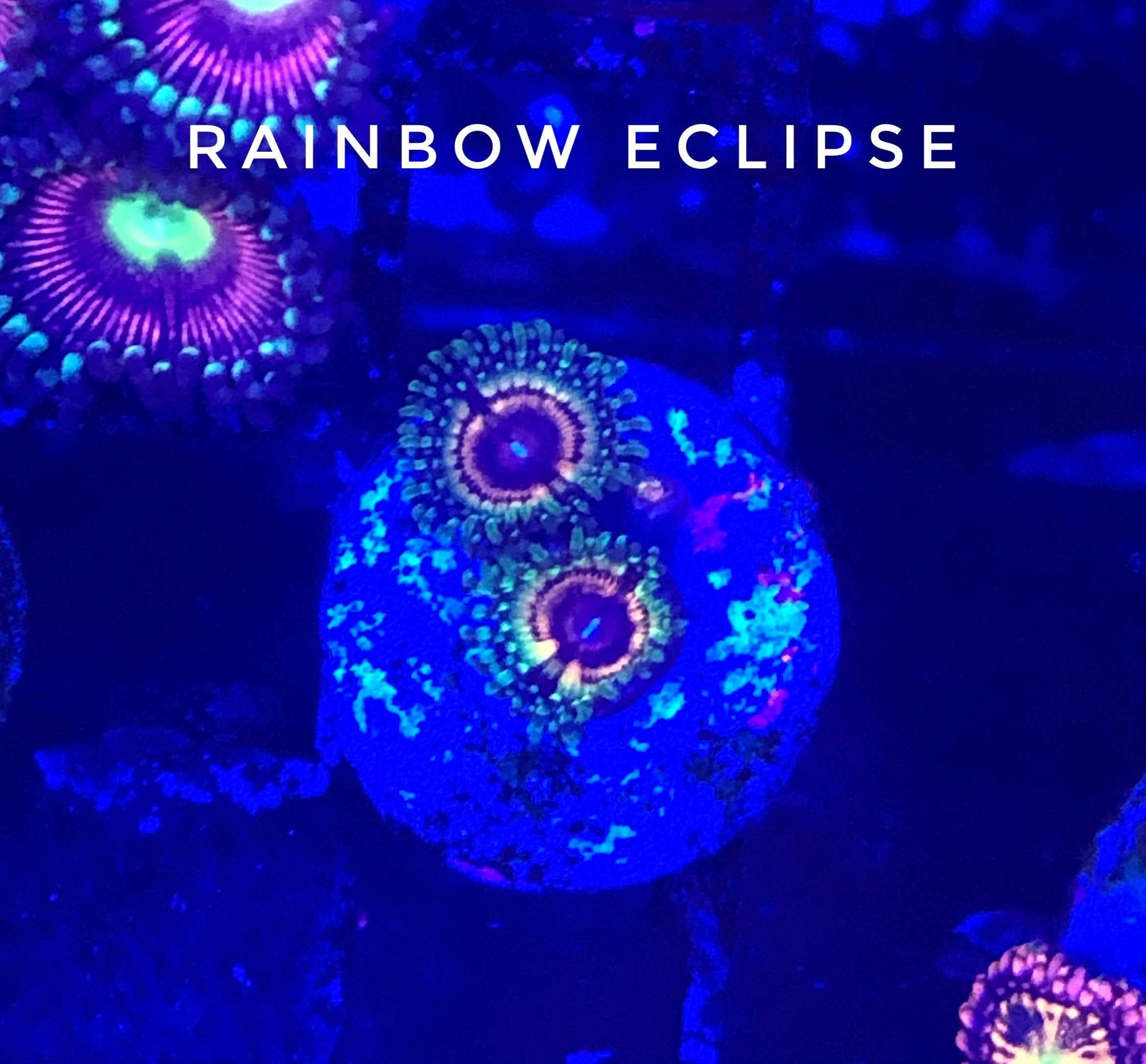 Rainbow Eclipse (Designer)